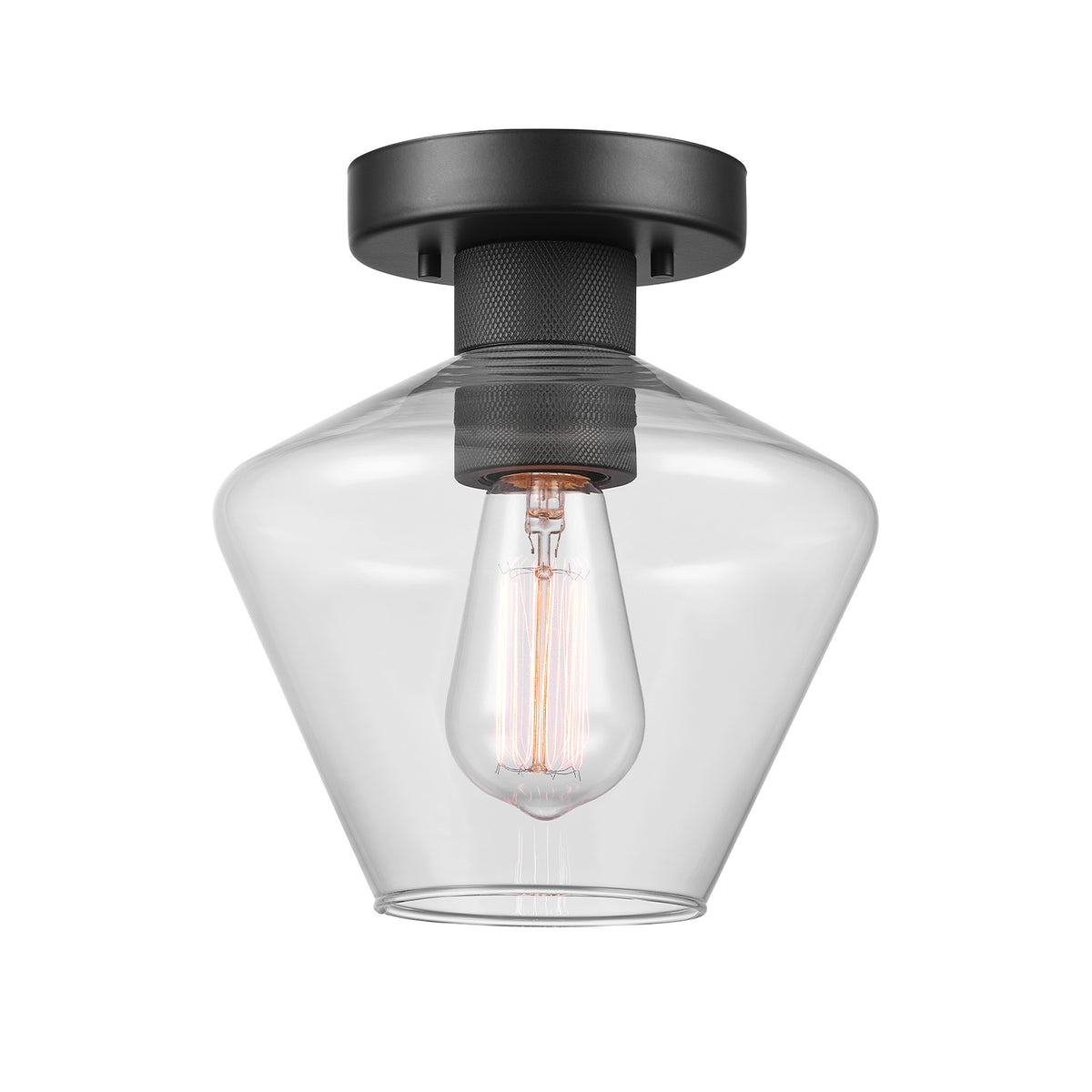 Harling 1-Light Matte Black Semi-Flush Mount Ceiling Light with Clear ...